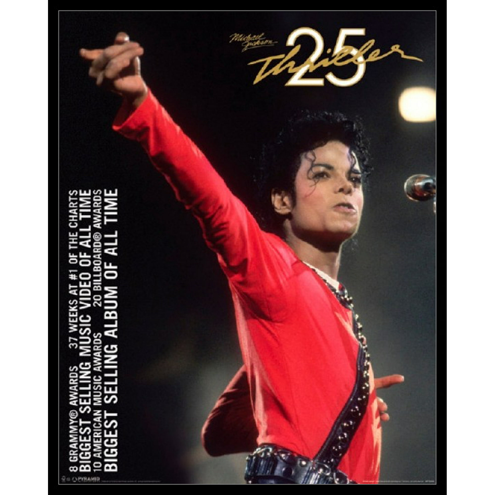 Michael Jackson Framed Poster
