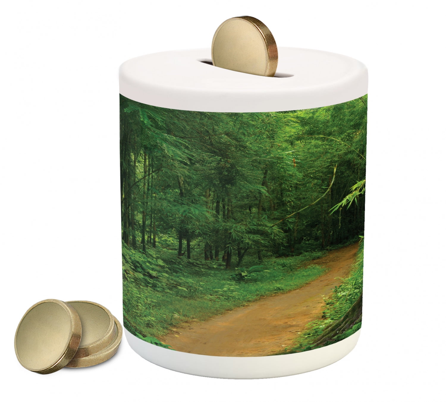 Tropical Piggy Bank, Tropical Jungle Forest Trees Pathway Foliage ...