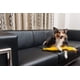Outward Hound Floppyz Chicken Dog Toy, Yellow, Large - Walmart.com