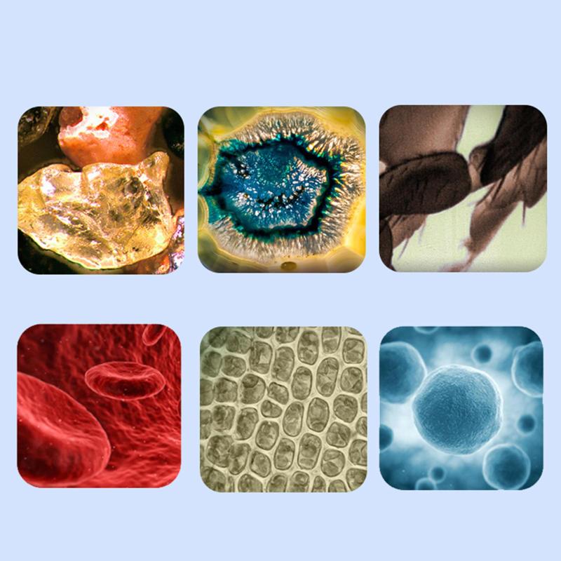 Microscopes figatia Mini Handheld Microscope 60X-120X Zoom 2 AAA ...