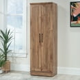 Sauder HomePlus 2-Door Storage Cabinet, Sindoori Mango Finish - Walmart.com