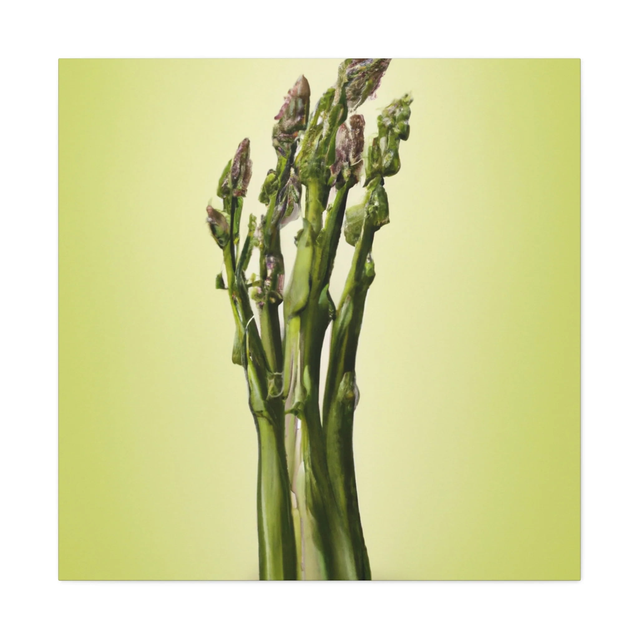 Harvest of Asparagus - Canvas - Walmart.com