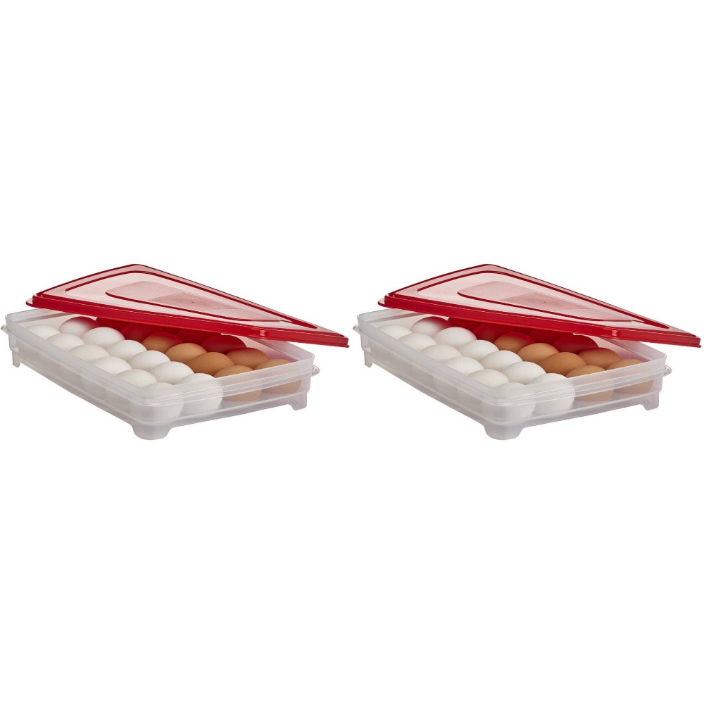 Buddeez Egg Keeper Storage Container Tray Holds 24 Jumbo Eggs Plastic ...