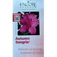 Azalea Autumn Sangria - 3 gal, Live Evergreen Shrub, Full/Part Sun ...