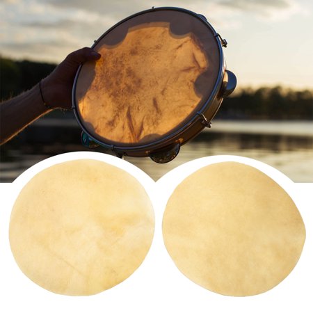 Bongo Drum Skin, With Clearly Visible Natural Texture Transparent ...