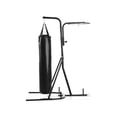 Gold's Gym Boxing Fitness Kit with 100lb Heavy Bag, Gloves & Stand ...