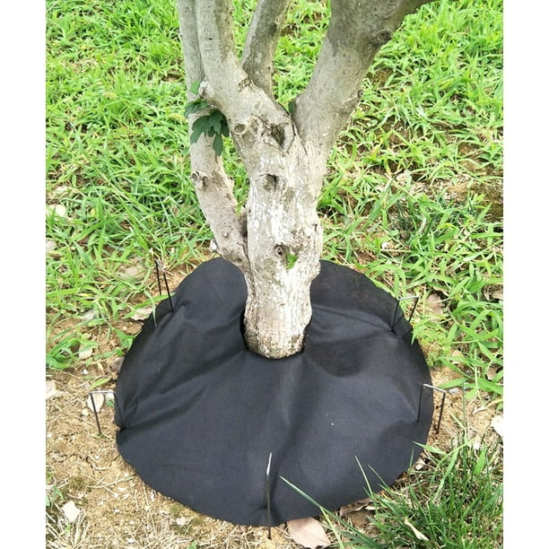 Tree Weed Barrier