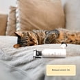 Begley's Plant-Based Pet Stain and Odor Remover, Enzymatic Cleaner for ...