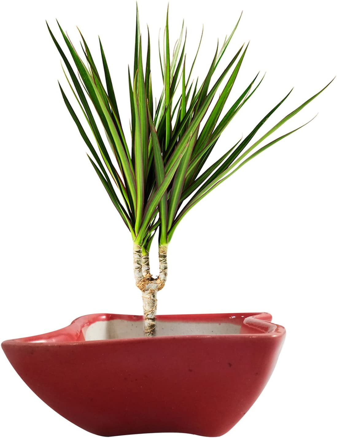 India Meets India Handicraft Ceramic Flower Pots Ceramic Planter Plant ...