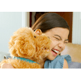 Moji Interactive Talking Labradoodle Dog Pup Toy - Acts Like a Real ...