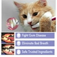 Pet Oral Cleaning Paste for Cats and Dogs To Clean Oral Odor Tartar and ... Pet Oral Cleaning Paste for Cats and Dogs To Clean Oral Odor Tartar and ...