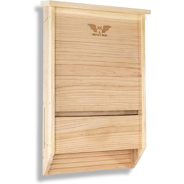 Big Bat Box- Large 3 Chamber Bat House for Outdoors - BCI Certified ...