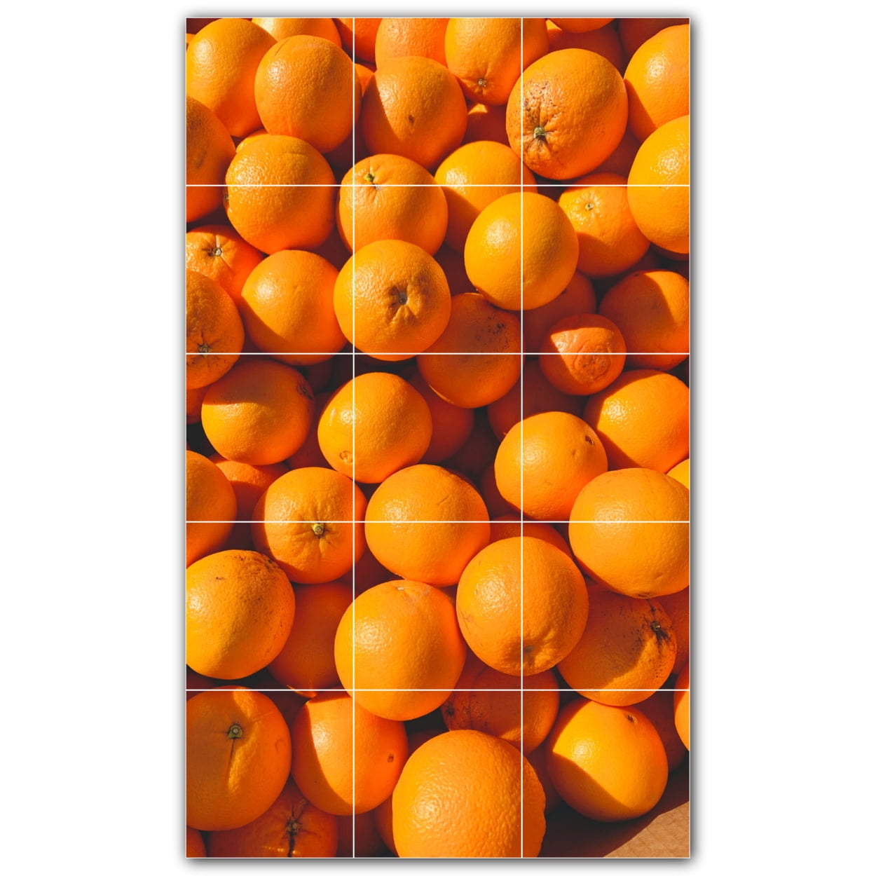Picture-Tiles.com: Fruit Ceramic Tile Wall Mural WAL500675-35M. 18"W x ...