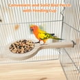 Bird Perch with Feeding Cup, Parrot Wood Perch Stand, Bird Pet Perch ...