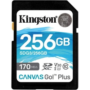 SDHC, SDXC & SD Cards | Walmart Canada