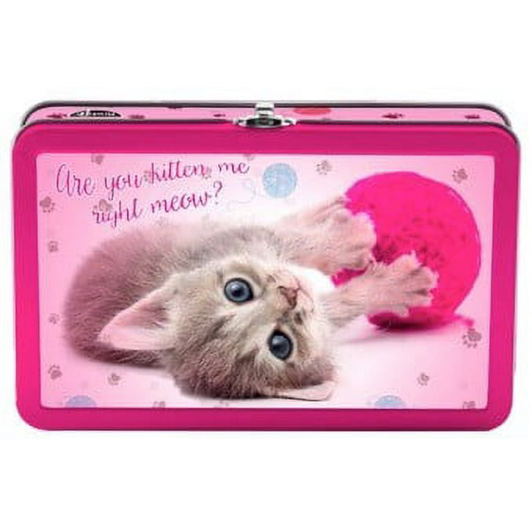 Find It Tin Pencil Box Girl Assortment Sleepy Puppy Unicorn Turquoise Dots Yarn Kitten Walmart
