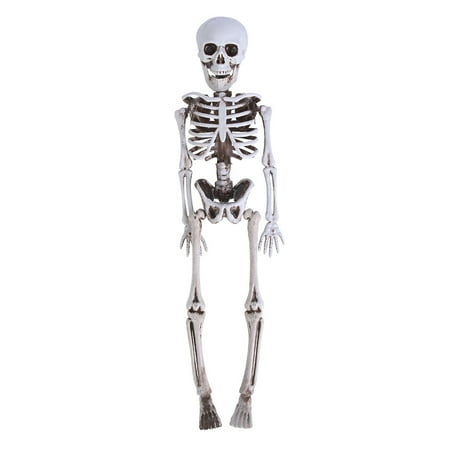 Halloween Horrible Chamber Theme Party Prop Realistic Human Skeleton ...