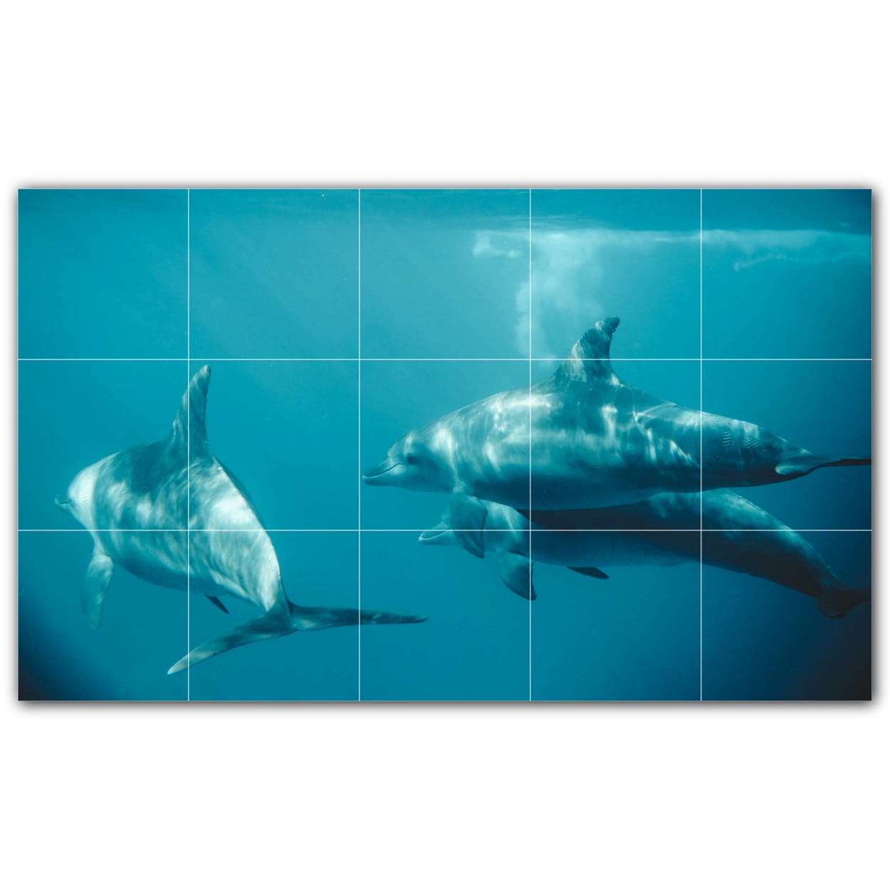 Picture-Tiles.com: Dolphin Ceramic Tile Wall Mural WAL500526-53XL. 60"W ...