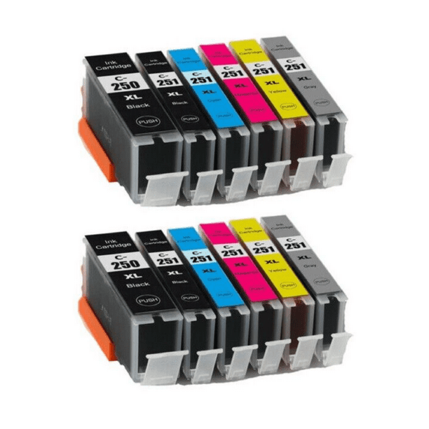Canon Ink 250 251 Cartridges