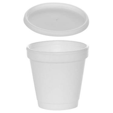 AMZ Empire 24 Oz Foam Cups With Lids, Insulated Styrofoam Disposable ...