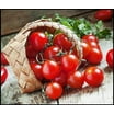 Bonsai Tomato Seeds for Planting | 100+ Seeds | Grow Your Own Food ...