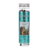 Scentsicles O Christmas Tree Aromatic Pine Smell Xmas Fragrance ...