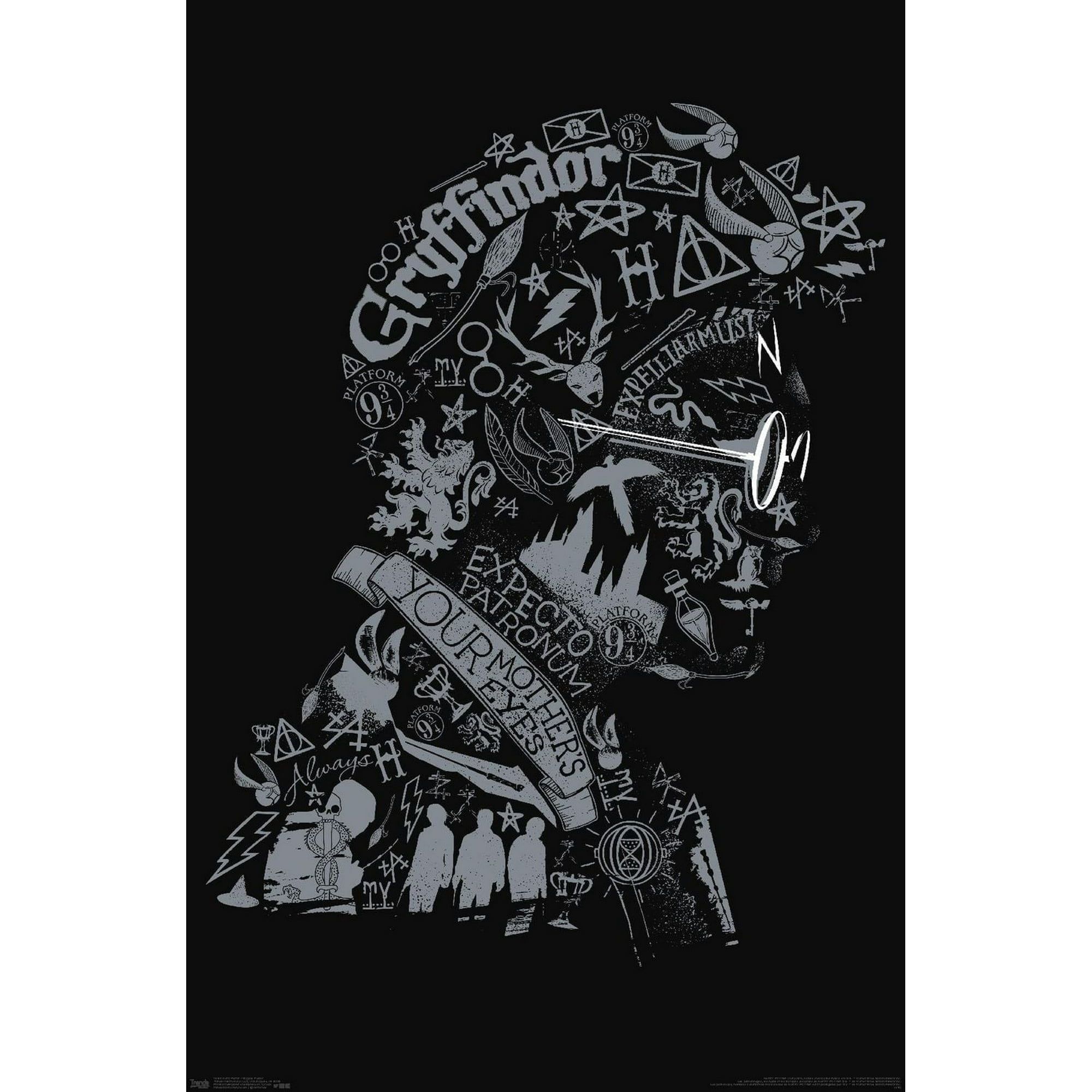 Click here for Trends International The Wizarding World: Harry Po... prices