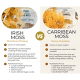 IRISH Sea Moss from Ireland - Chrondrus Crispus Sea Moss - Elderwise ...