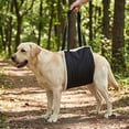 Black Dog Recovery Support Sling, Walking Assistance Harness for Senior ...