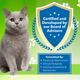 Pet Wellbeing Natural Support for Cat Anxiety and Stress - Calming Care ...