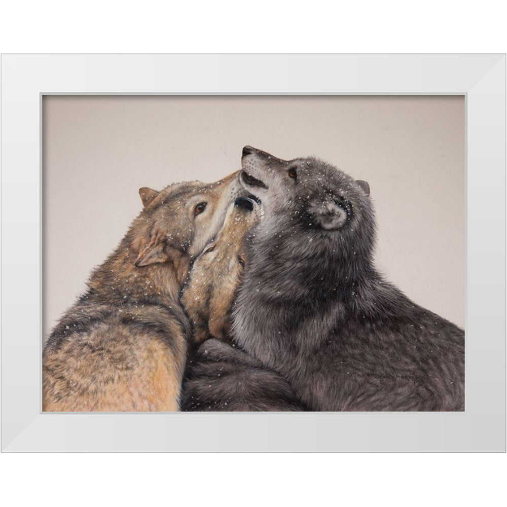 Harrison, Lesley 32x25 White Modern Wood Framed Museum Art Print Titled ...