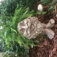 Homestyles Stone Wash Ole Salty the Muggly Face Humorous Statue Planter ...