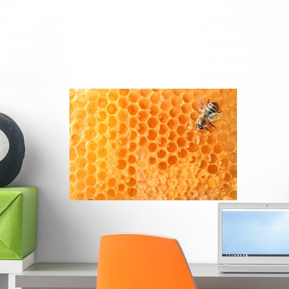 Bee Honeycomb Wall Mural by Wallmonkeys Peel and Stick Graphic (18 in W ...