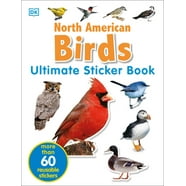 Birds (Board Book) - Walmart.com