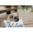 Hi-Line Gift Realistic Polyresin Pug Puppy with Welcome Sign Dog Decor ...