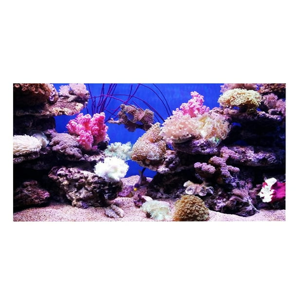 3D Effect Adhesive Coral Seaworld Poster for Aquarium Fish Tank ...