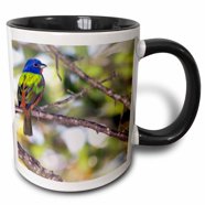 Dc Comics Flash Splatter Paint 20oz - Walmart.com