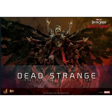 Marvel Legends Series 6-Inch Doctor Strange Action Figure, Multiverse ...