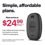 Lively Mobile2 All-in-One Medical Alert Device HSA/FSA Eligible ...