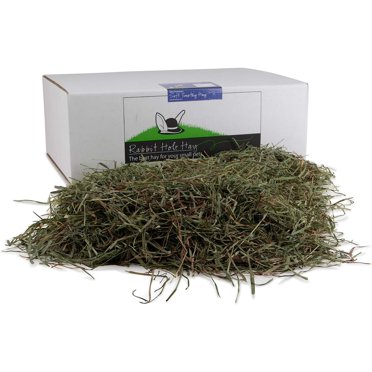 Vitakraft Orchard Grass Hay for Rabbits, Guinea Pigs, Chinchillas ...