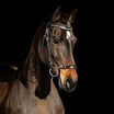 Martin Saddlery Adjustable Headsetter With Rope Nose - Walmart.com