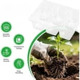 10 Packs Seed Starter Tray with Drainage Holes, Reusable & Durable ...