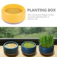 MRLESS Cat Grass Growing Kit with Planter Box for Easy Soilless ...