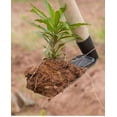 Small Hoe for Digging Soil Durable Hoe Agricultural Hoe Household ...