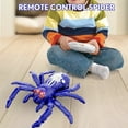Remote Control Spider Climbing Toy Red Interactive Crawls Walls ...