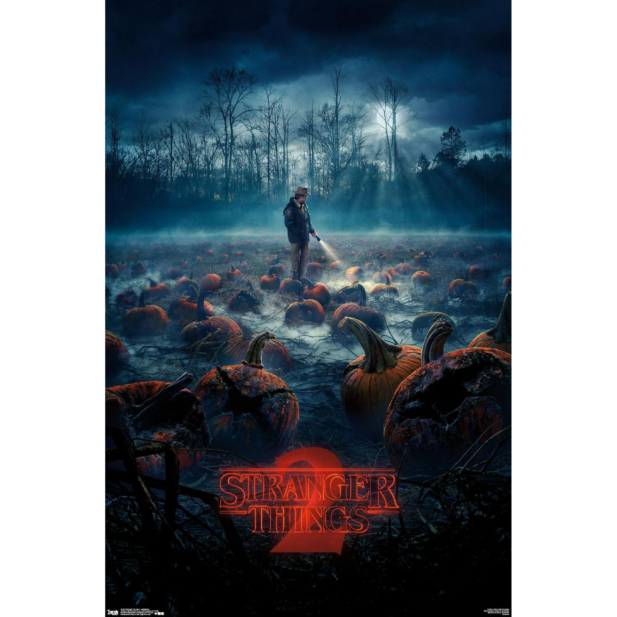 Click here for Trends International Netflix Stranger Things: Seas... prices