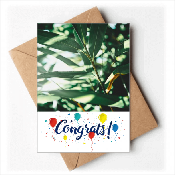 Green Nature Photo Wedding Cards Congratulations Greeting Envelopes ...