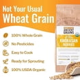 Grand Teton - Ancient Grains Khorasan Wheat Berries, 100% Organic ...