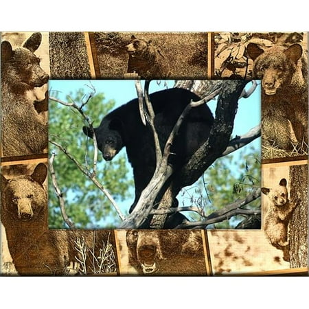 Giftworks Plus BRD0171 Black Bear, Alder Wood Frame, 8 x 10 In ...
