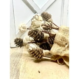 Mini Pine Cone, 9" Rattan Wood Reed Diffusers Replacement Sticks, 16 pk ...